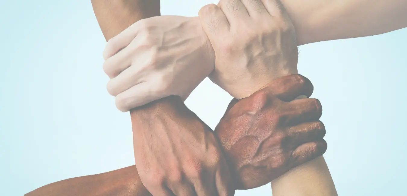 El Colegio celebra el Día Internacional de la Paz | Colegio Profesional ...