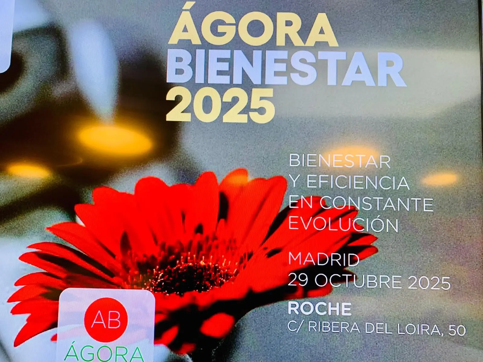 Cuerpo de Gestión de la Administración Civil del Estado (A2) | Colegio ...